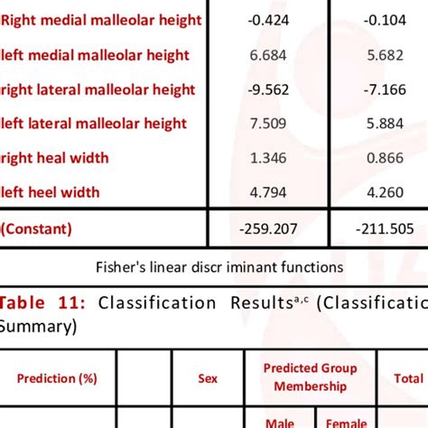 Classification Function Coefficients Download Scientific Diagram