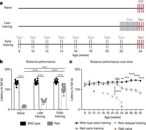 Presymptomatic Training Mitigates Functional Deficits In A Mouse Model