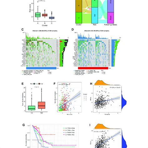 Cluster Risk And Mutation Risk Profiles A Variations Among The Three Download Scientific