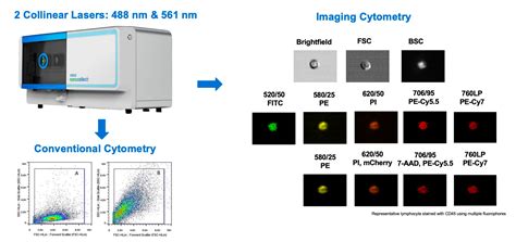 Verlo成像流式 细胞分选仪
