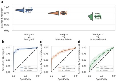 Cancers Free Full Text Leveraging Attention Based Convolutional