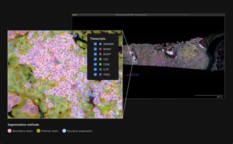Xenium Catalyst Program 10x Genomics