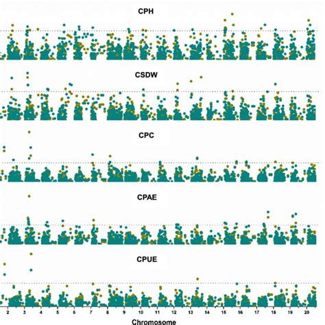 Manhattan Plot Of The P Values In Conditional Association Analysis For