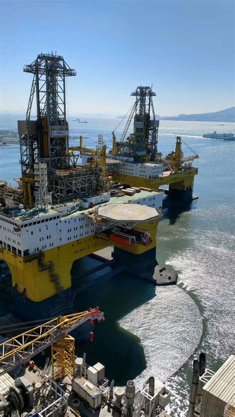 Gordan Bogunovic Posted On Linkedin