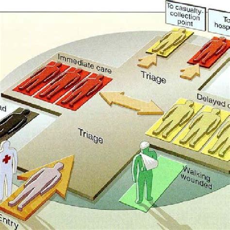 Triage Sort Secondary Triage Download Scientific Diagram