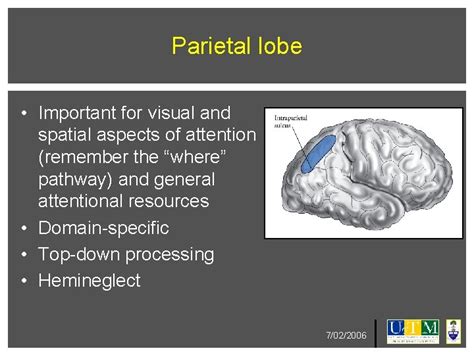Lecture 6 Attention 7022006 Lecture Outline What Is