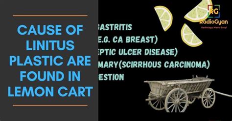 The Potential Spaces Mapping The Peritoneal Cavity Com Radiogyan
