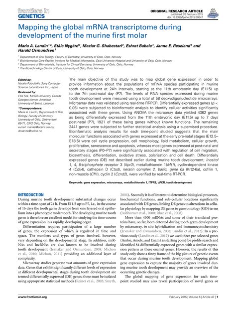 Solution Mapping The Global Mrna Transcriptome During Development Of The Murine First Molar