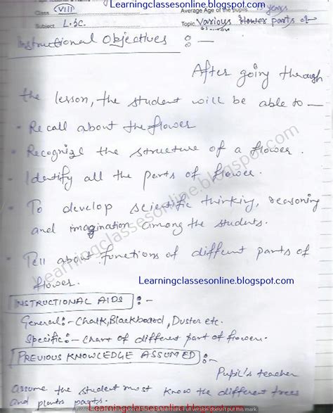 Pollination Lesson Plan