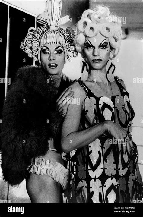 Priscilla Queen Of The Desert Hugo Weaving