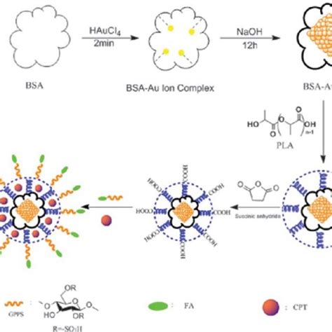 Schematic Illustration Of Auncsdox Liposome Developed As A Pl Sensor