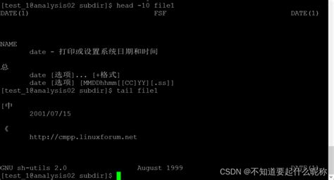 Linux实验报告（二）——linux系统中的常用命令linux文件管理与常用命令实验报告 Csdn博客
