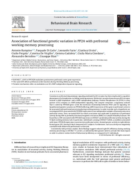 Pdf Association Of Functional Genetic Variation In Pp2a With Prefrontal Working Memory