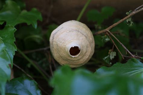 정원도시 서울서울의 공원