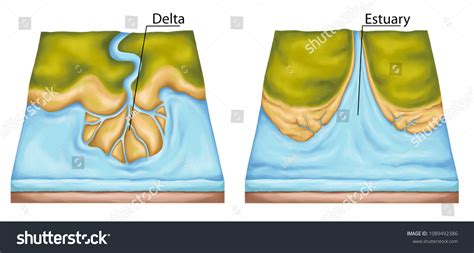Water Bodies Landform Over 24 Royalty Free Licensable Stock