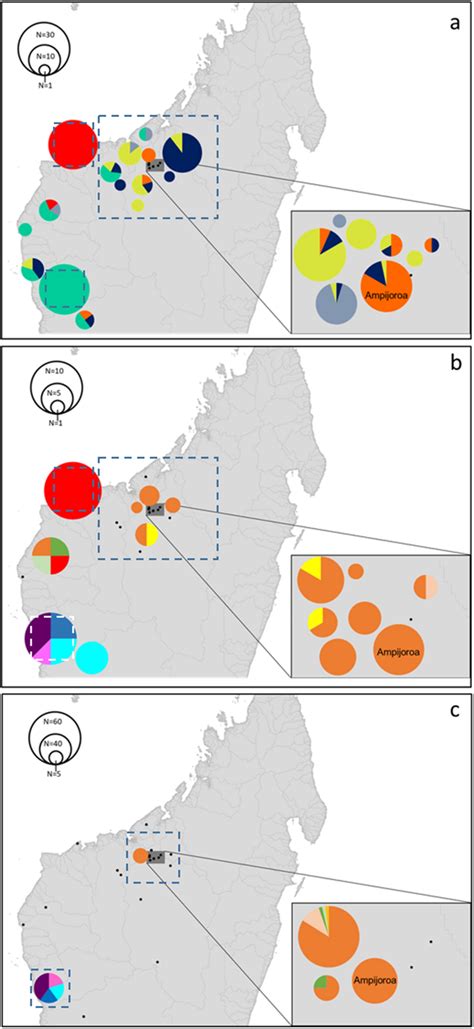 Comparative Distribution Of Genetic Structure Across The Sampled Area Download Scientific
