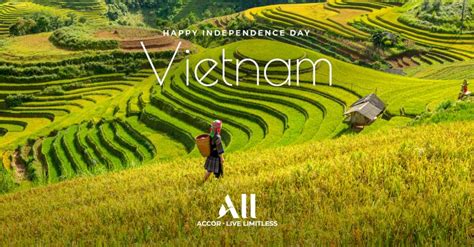 Trong Nguyen Posted On Linkedin