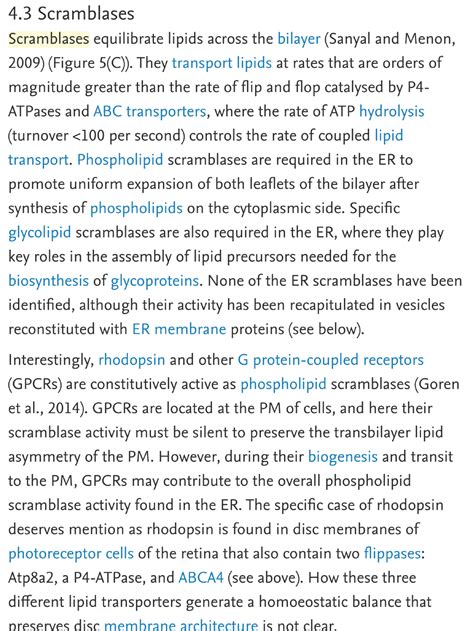 Scramblase Function Sle133 Studocu