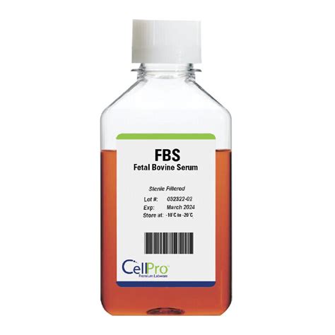 Fetal Bovine Serum Fbs Us Source Sera Serum