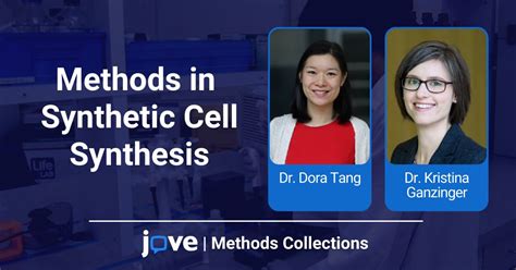 Jove On Linkedin Many Thanks To Our Jove Guest Editors Dr T Y Dora Tang Of The Mpi Cbg