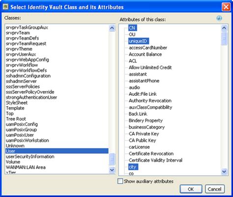 Editing A Schema Map Policy Netiq Identity Manager Using Designer To Create Policies