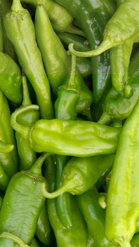 Cubanelle Pepper Artofit