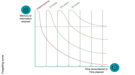The Forgetting Curve Why We Forget And How To Remember
