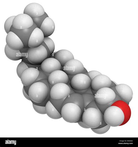 Cholesterol Molecular Model Atoms Are Represented As Spheres With Conventional Color Coding
