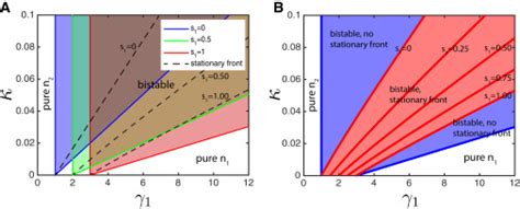 Coexistence And Pattern Formation In Bacterial Mixtures With Contact Dependent Killing