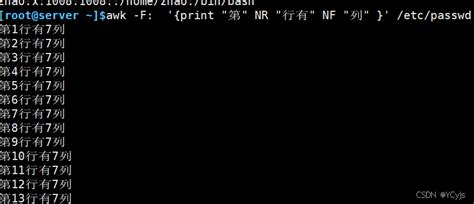 【shell 编程三剑客】shell Awk命令详解（理论实战）shell Awk Csdn博客