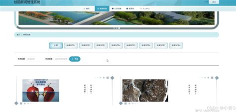 springboot vue校园新闻管理系统【程序 论文 开题】计算机毕业设计 csdn博客