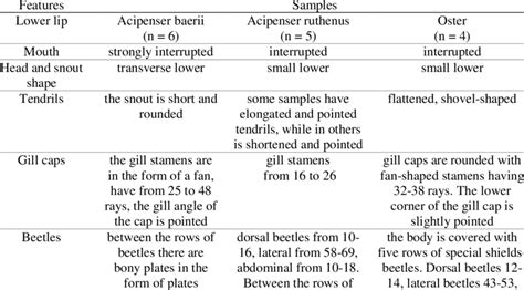 Distinctive Features Of Acipenseriformes Download Scientific Diagram