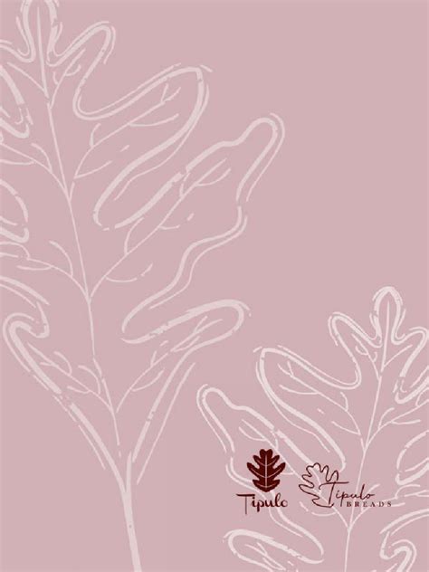 Tipulo Packages New Pdf Soup Pasta