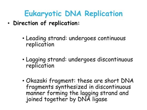 Dna Replicationppt