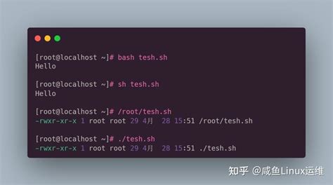 关于 Bash 脚本中 Shebang 的趣事 知乎