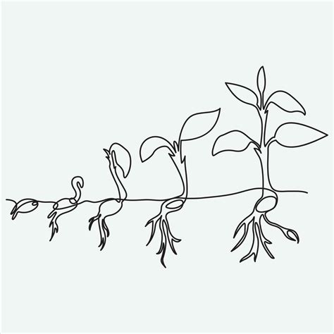 Continuous Line Hand Drawing Vector Illustration Tree Art Vector Art At Vecteezy