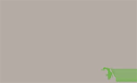 The Florida Mouse Florida Wildlife Trappers