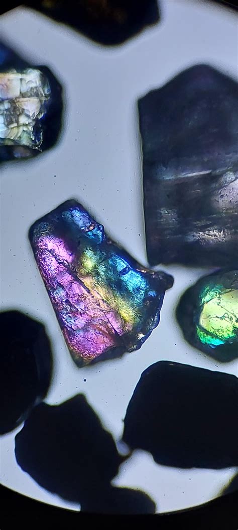 Polarising With The Iqcrew Inverted Microscope Rmicroscopy