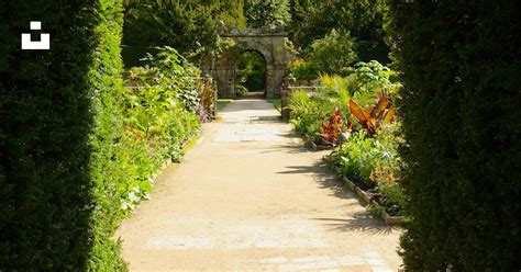 나무가 많이 우거진 울창한 녹색 숲을 통과하는 길 사진 Unsplash의 무료 꽃 이미지