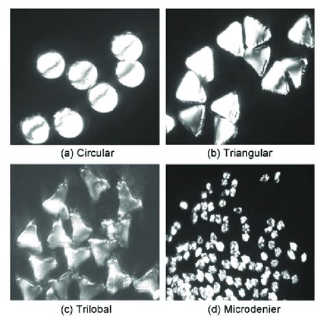 Cross Section Of Different Polyester Fibres Download Scientific Diagram