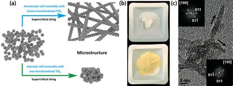 A Assembly Of Tio2 Nanoparticles Using Either Trizma Functionalized Download Scientific