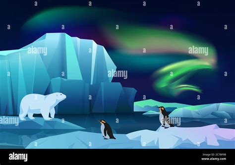 Antarctic Aurora Stock Vector Images Alamy