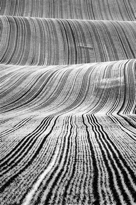 Moravian Fields Landscape