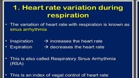 Autonomic Function Testpptx Operating Systems Computer Software And Applications