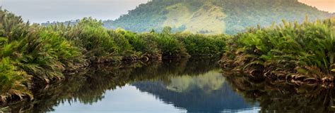 Excursiones Visitas Guiadas Y Actividades En Borneo Civitatis