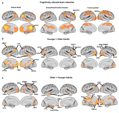 Cerebral Dysfunction Semantic Scholar