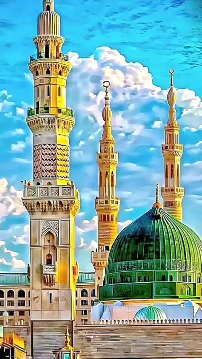 Shorts Shortsfeed Shortvideo Youtubeshorts Youtube Youtuber Youtubeshort Youtube