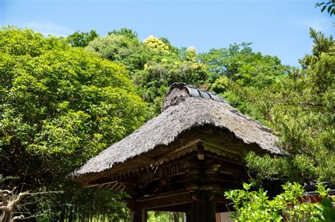 導地蔵 Linux Apache Mariadb Python ブログ 導地蔵 Linux Apache Mariadb Python ブログ