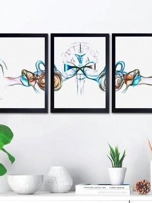 Fonoaudiologia Consultorio Anatomia Cochlear Ouvido Interno Compre