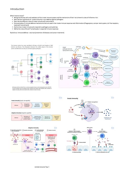 Initiate Immunity Introduction What I Have To Know Recognise The Key Cells And Mediators